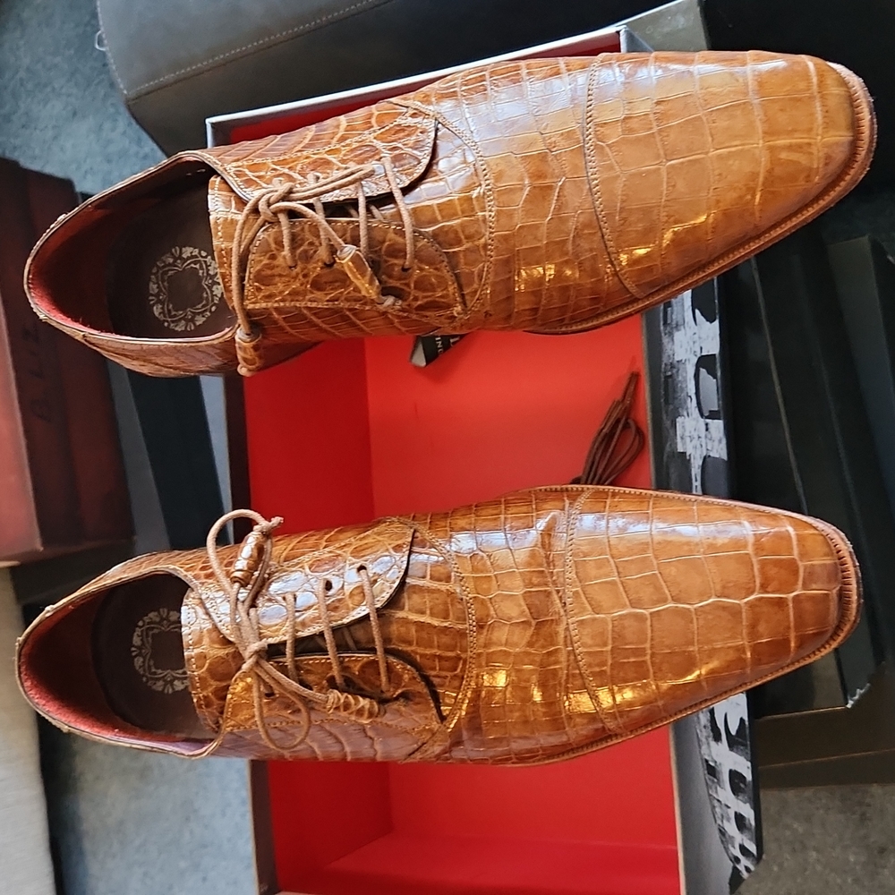 Alligator Shoes - Gem